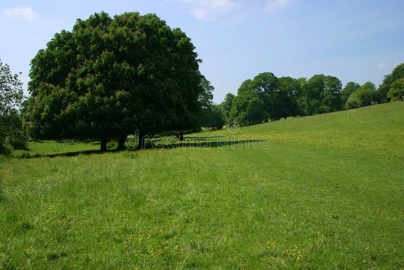 Green Scene stock image. Image of landscape, open, country - 843753