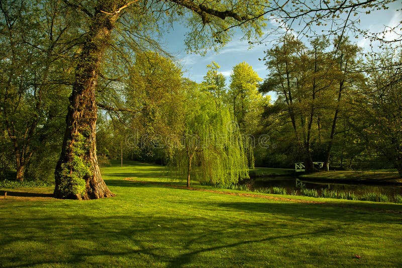 Green scenery stock photo. Image of field, brook, outdoor - 1630408