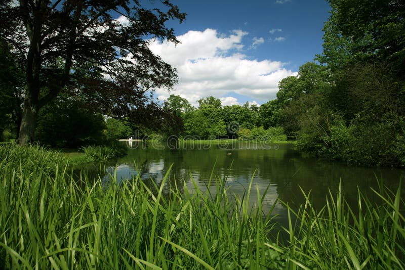 Green scenery stock image. Image of park, light, grassy - 1631555