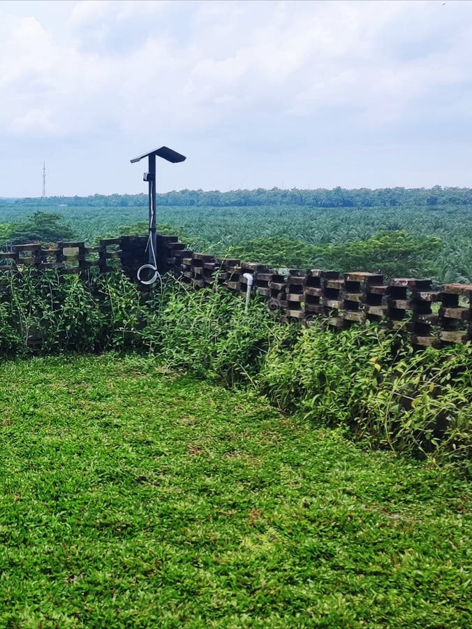 Green Scenery at Rooftop Built with Bricks Stock Image - Image of built ...
