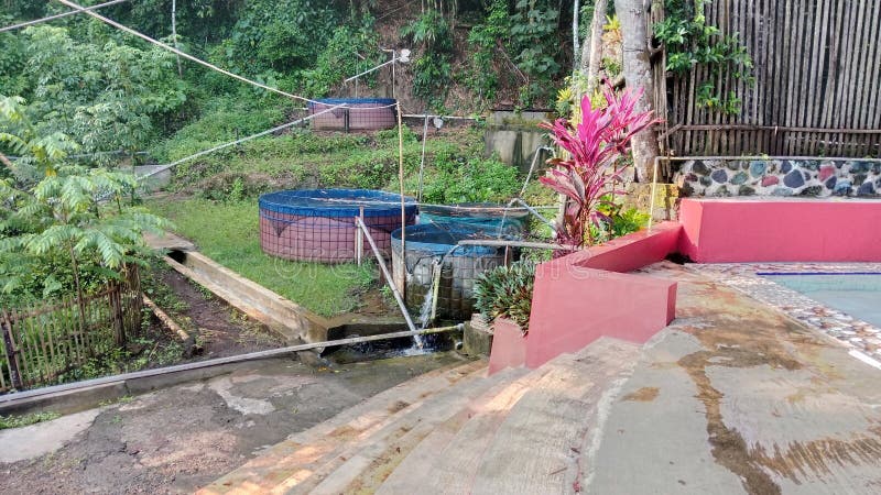 Green Scenery with a Round Pond for Fish Farming Stock Photo - Image of ...