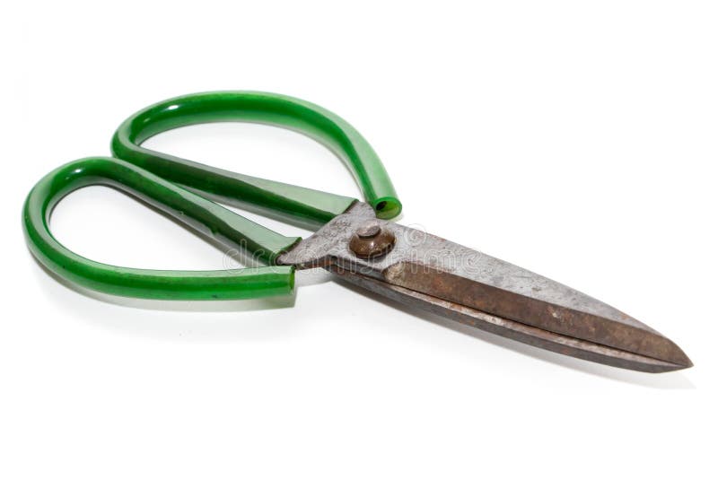 Green Scissors Isolated on a White Background Stock Image - Image of ...
