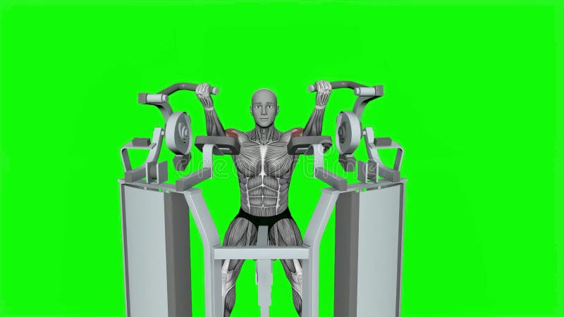 Biceps Exercise on a Workbench. Stock Footage - Video of legs, studio ...