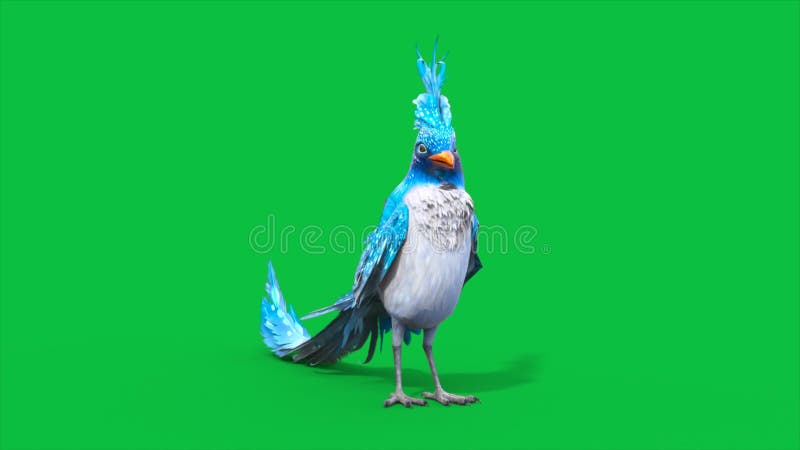 Green Screen Blue Bird Alert Loop 3D Animations Animals Rendering Stock ...