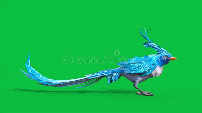 Green Screen Blue Bird Eating Loop 3D Animations Animals Rendering ...