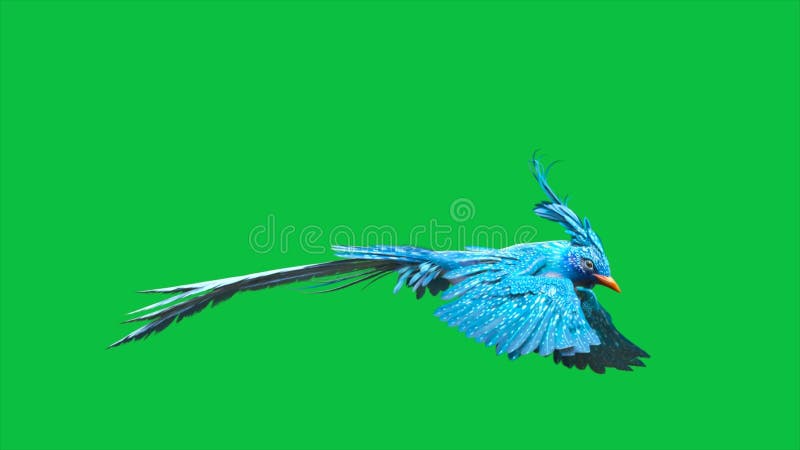 Green Screen Blue Bird Fly Loop 3D Animations Animals Rendering Stock ...