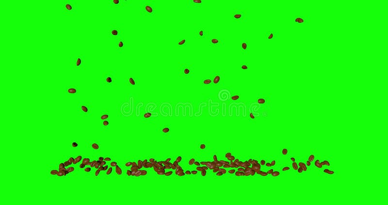 Green Screen Coffee Beans Grain Falling Stacked Animation Chroma Key 3d ...