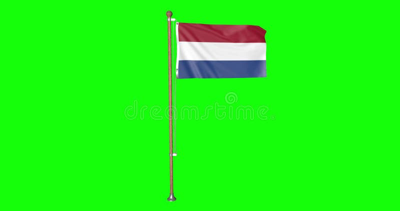 Green Screen Hiper Realistic Loop Flag of Netherland Holland with ...