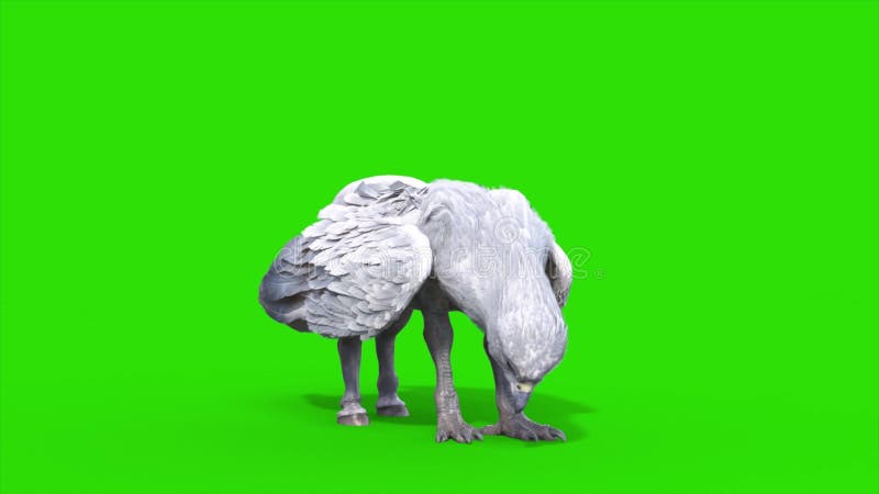 Green Screen Hippogriff Mythological Creature Eats Loop Front 3D ...