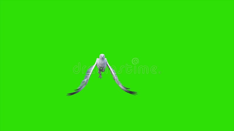 Green Screen Hippogriff Mythological Creature Fly Front 3D Animation ...