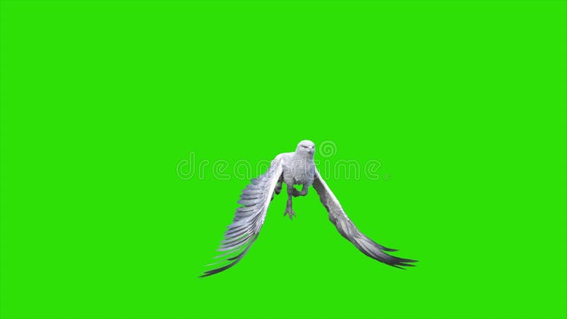 Green Screen Hippogriff Mythological Creature Fly Loop Front 3D ...