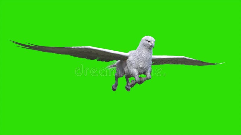Green Screen Hippogriff Mythological Creature Gliding Loop 3D Animation ...