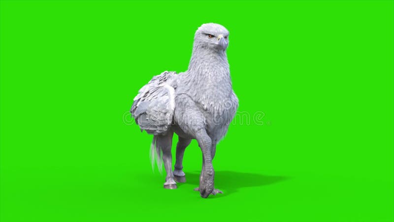 Green Screen Hippogriff Mythological Creature Walkcycle Loop 3D ...