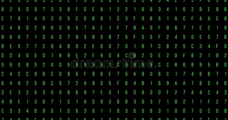 Hacker green screen stock video. Video of code, coding - 99684809