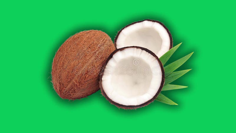 Green Screen with Theme of Coconut Stock Video - Video of screen, green ...