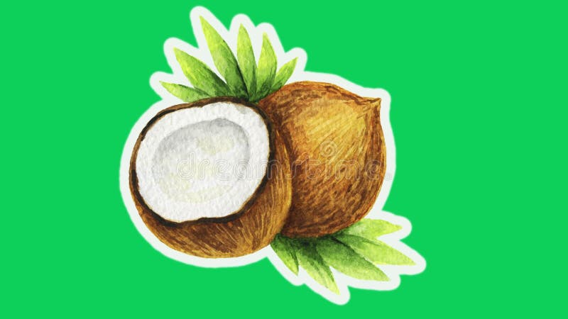 Green Screen with Theme of Coconut Stock Video - Video of undefined ...
