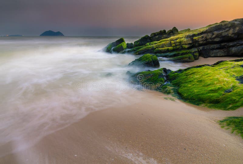Green sea moss on stone stock image. Image of thallophyta - 49511789