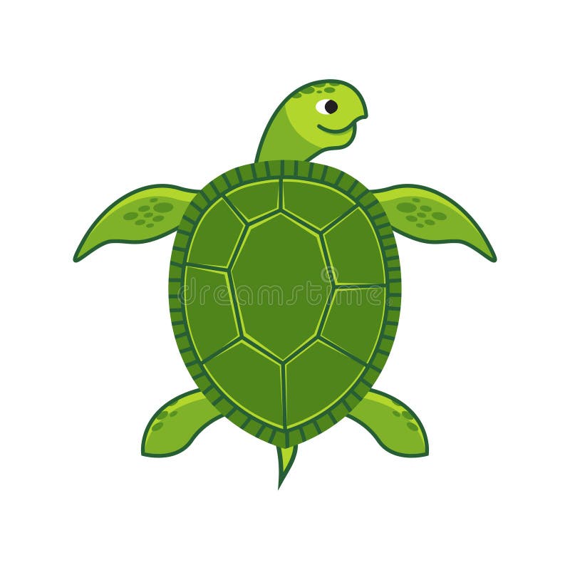 Green Sea Turtle Illustration Stock Illustrations – 3,527 Green Sea ...
