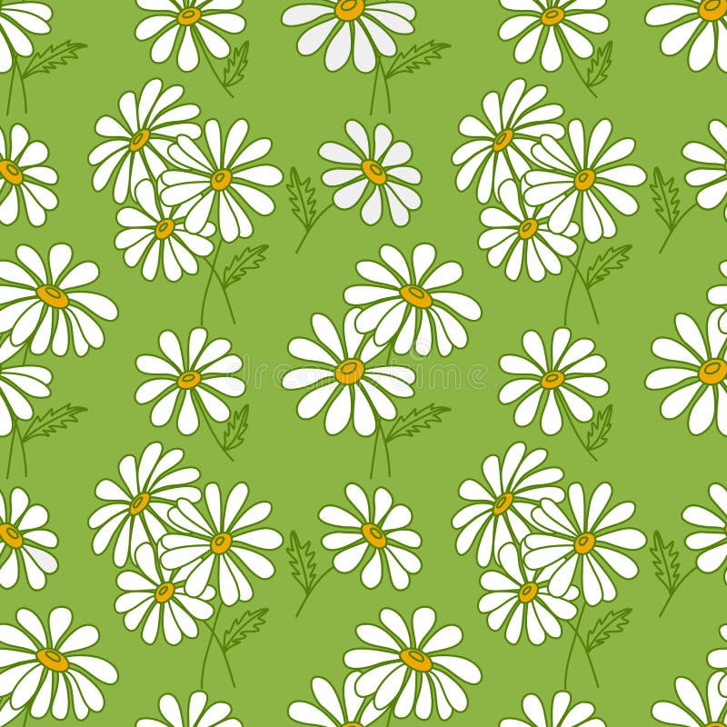 Green Seamless Daisy Pattern. Stock Vector - Illustration of sketch ...
