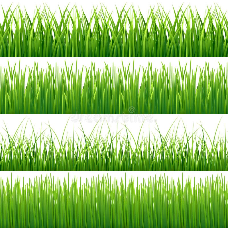 Seamless Grass Pattern stock vector. Illustration of gardening - 33935690