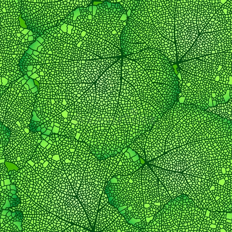 Green Seamless Leaves Pattern Stock Vector - Illustration of ornament ...