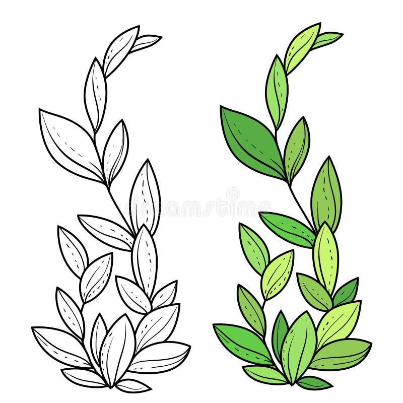 Green Seaweed Coloring Book Linear Drawing Stock Vector - Illustration ...
