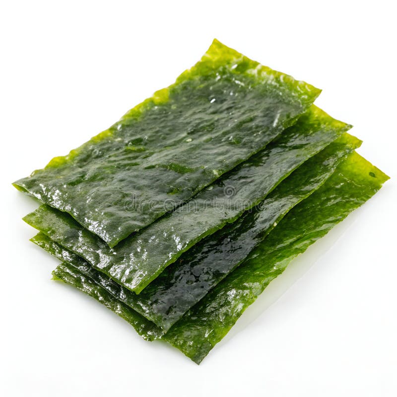 Green Seaweed Sheets Displayed Stock Illustration - Illustration of ...