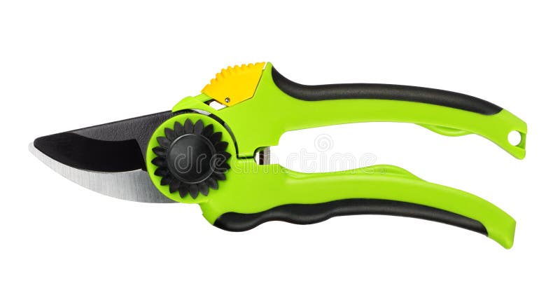 Green Secateurs stock image. Image of gardener, bright - 23977311