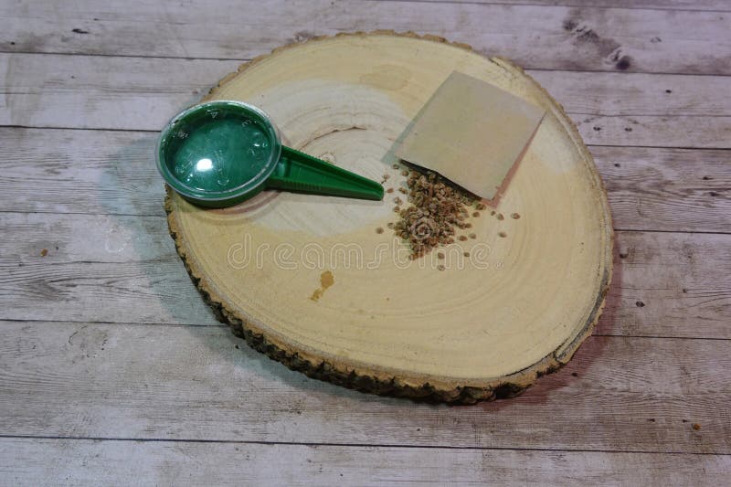 Green Seed Spreader and Open Seed Packet with Scattered Seeds on a ...
