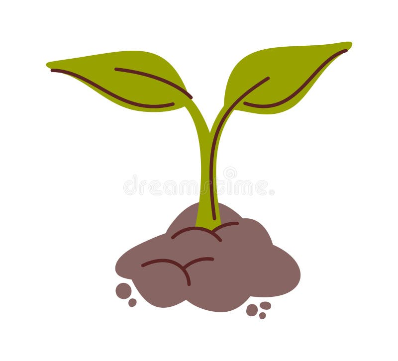 Green Seedling Germinating Hand Drawn Stock Vector - Illustration of ...
