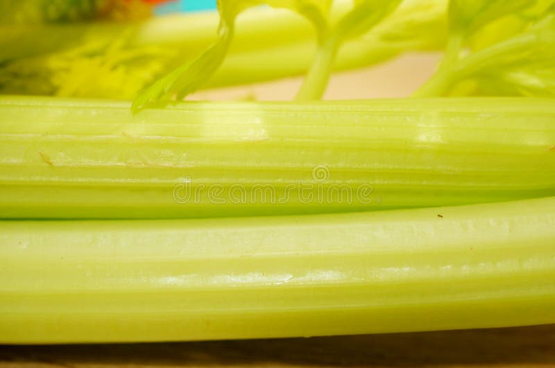 Selery stock image. Image of plant, vegetables, ingredient - 78524461