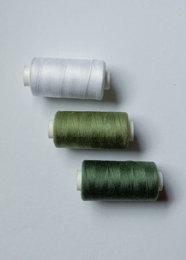 Green Sewing Thread Arranged in Gradations Stock Image - Image of food ...