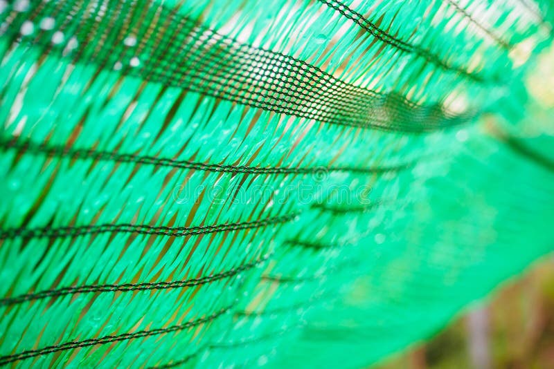 Green Shading Net Protect Sun Light Stock Image - Image of shadow ...