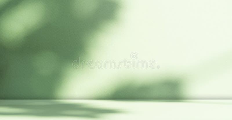 Green Shadow Background Studio Room Photo Empty Gradient Leaf Floor ...