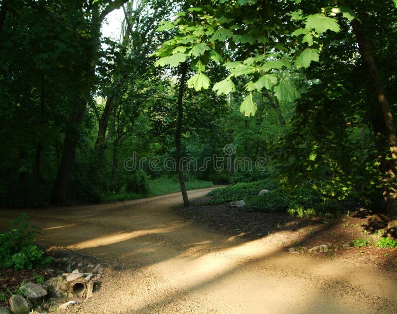 Green Shadow Park with Trees in Morning Stock Image - Image of green ...