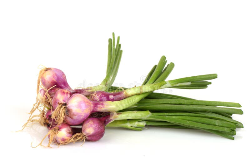 Green Shallot vegetable. stock image. Image of fresh - 95798909