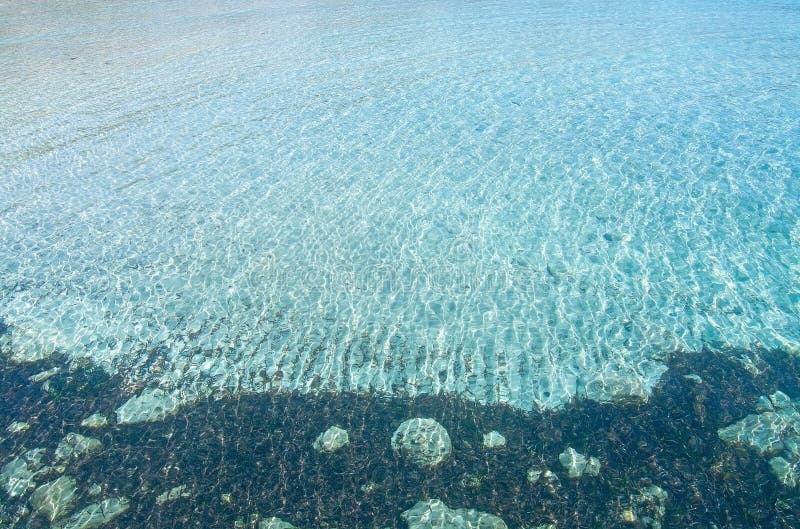 Green Shallow Sea Water Background Texture Stock Image - Image of calm ...