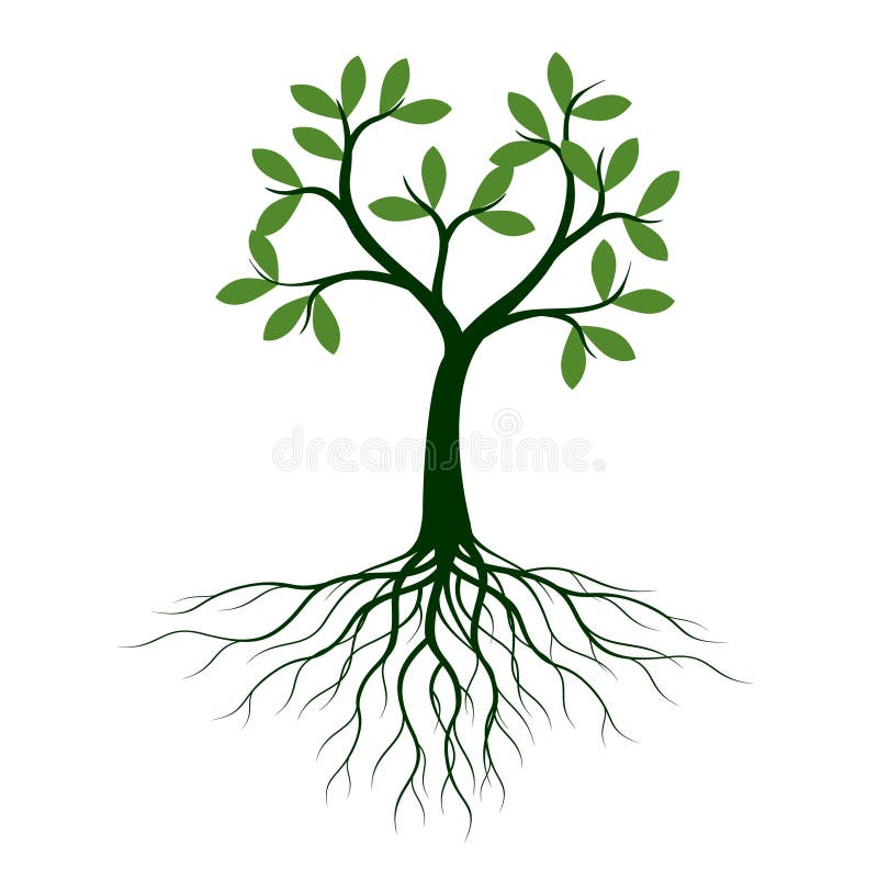 Green Shape of Tree with Leaves and Roots. Vector Outline Illustration ... Green Shape of Tree with Leaves and Roots. Vector Outline Illustration ...