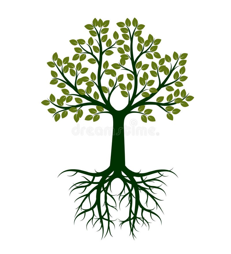 Green Shape of Tree and Roots. Vector Illustration Stock Illustration ...