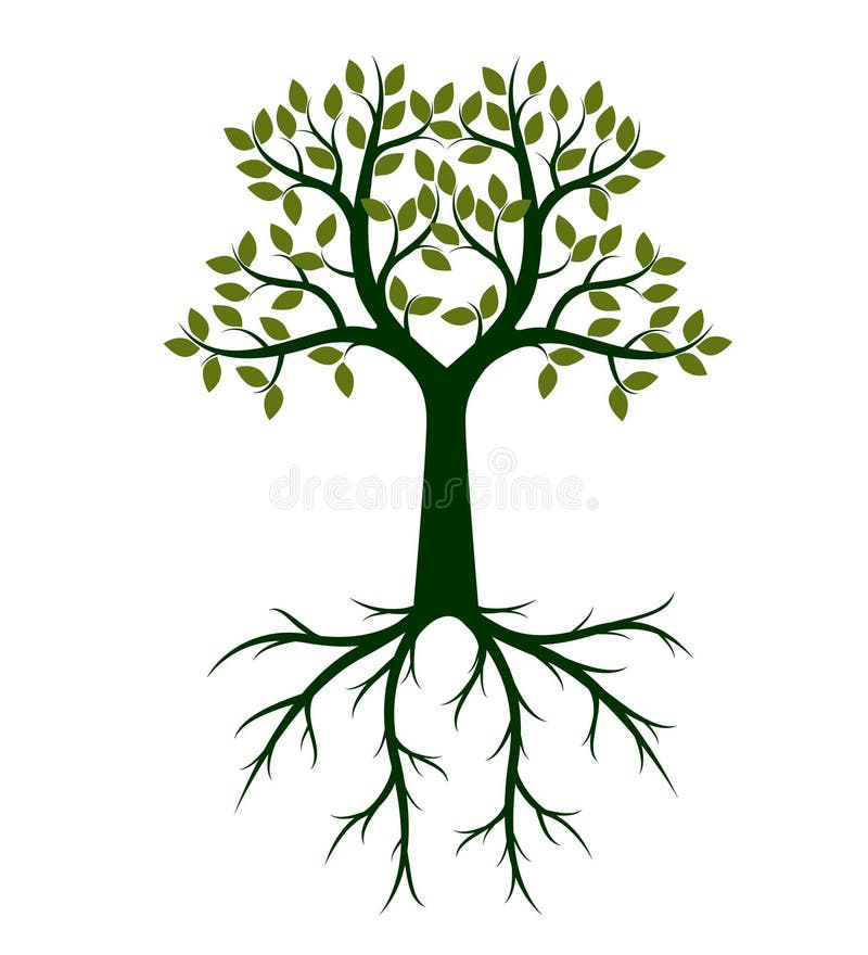Green Shape of Tree with Leaves and Roots. Vector Outline Illustration ...