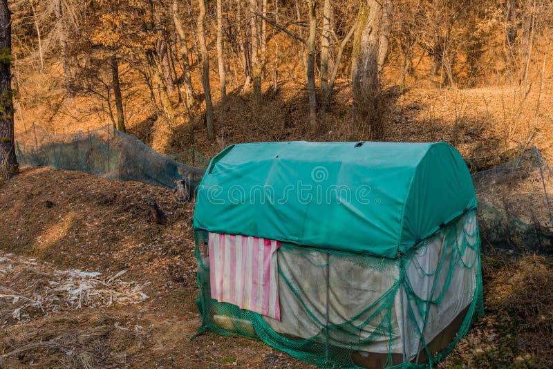 Green Shed in Mountainside Wilderness Stock Image - Image of daejeon ...