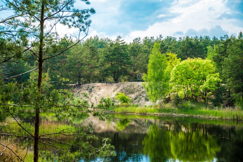 Green Shore of the Small Lake. a Small Summer Calm Lake, Pine Forest ...