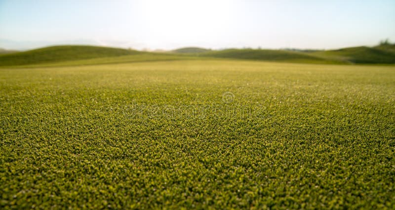 Green Short Grass Lawn, Fresh Cutting Lawn-mower Stock Image - Image of ...