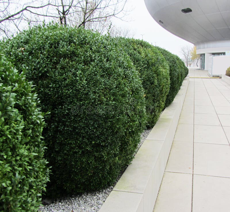 Portraitquo - Photographer profile