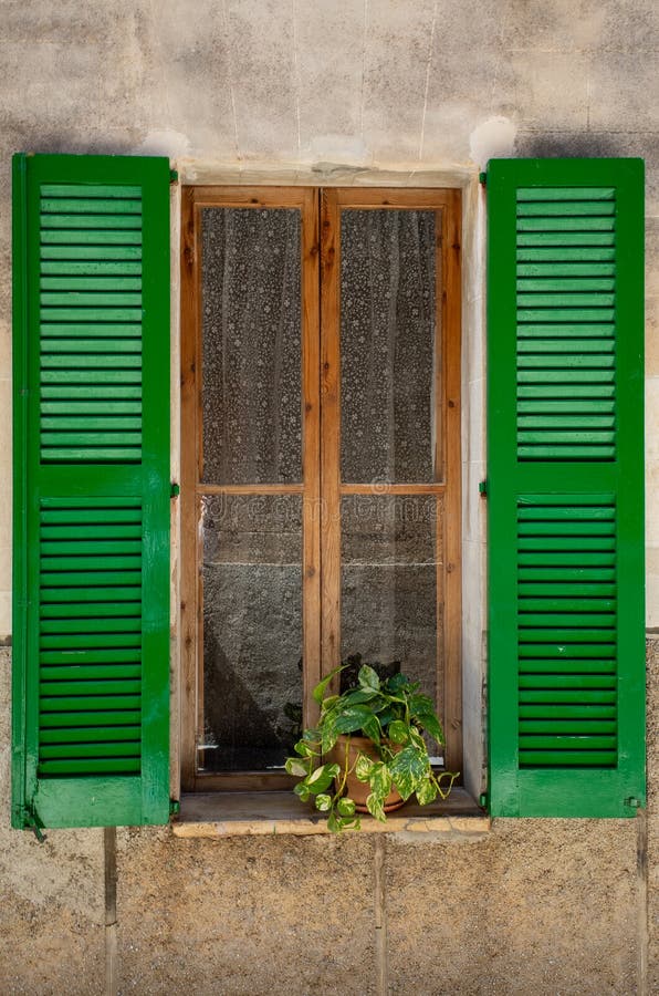 Green Shutters with Plant in Spain Stock Image - Image of outside ...