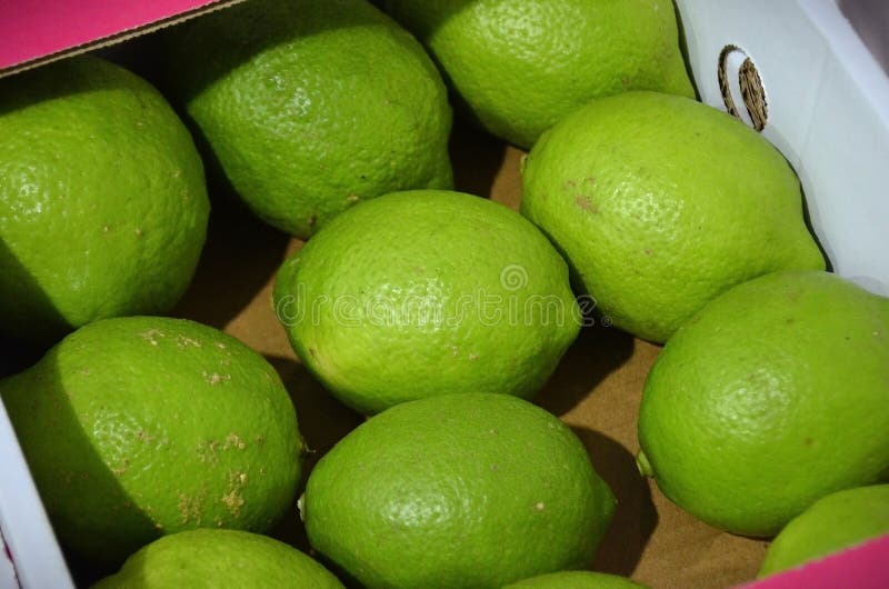 Green Sicilian Lemon (Citrus Limon) in the Box Stock Image - Image of ...