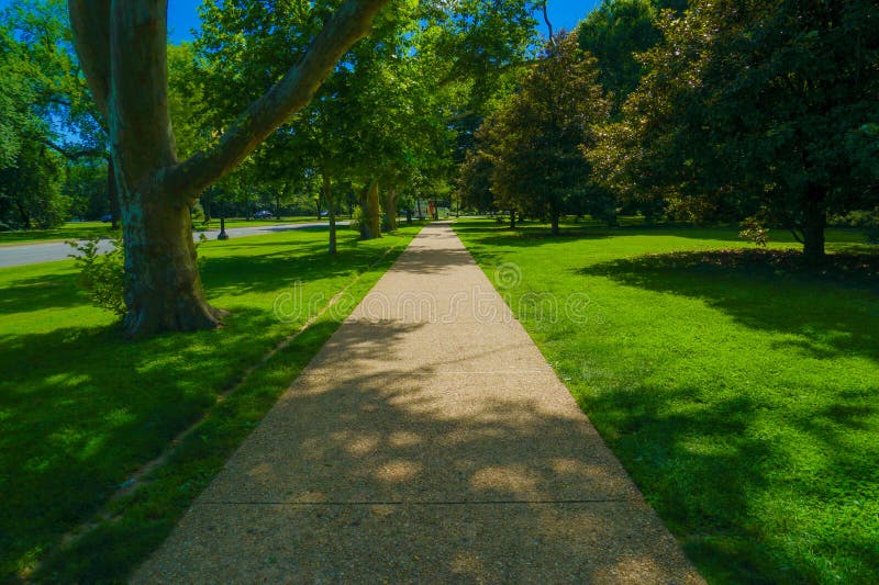 Green Sidewalk (Washington DC) Stock Image - Image of sidewalks ...