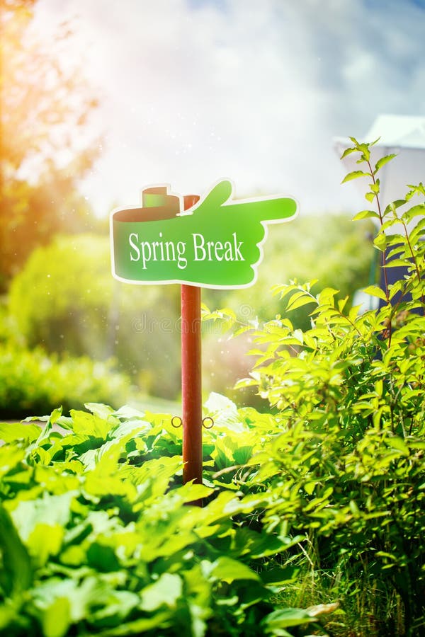Green Signpost with the Text Spring Break Written in it, Sunny Spring ...