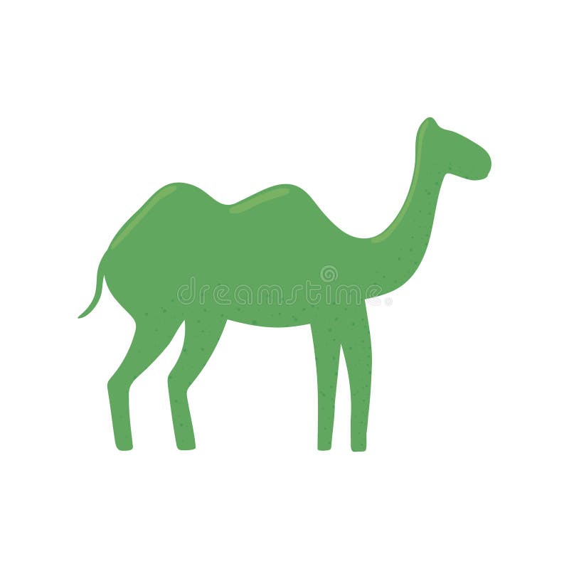 Green silhouette camel stock vector. Illustration of arabic - 226095610