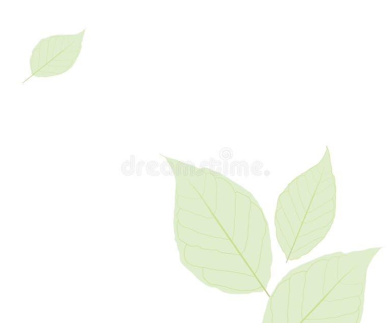 Green simple leaves stock vector. Illustration of summer - 14735516